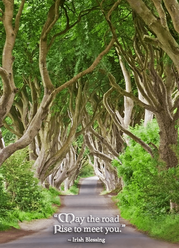 Dark Hedges Card | Irish Tree Birthday Blessing